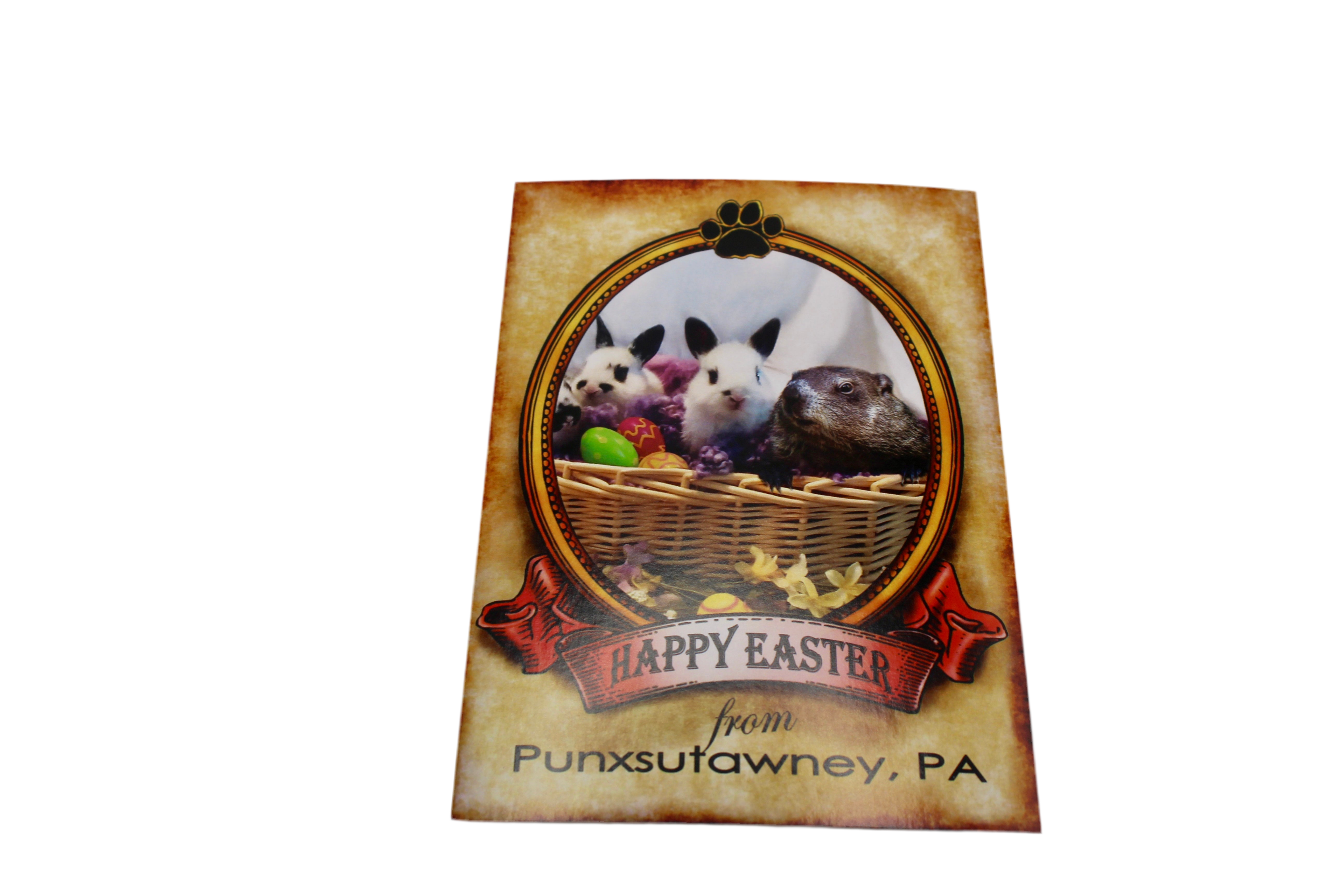 Phil Easter Postcard – Punxsutawney Phil Spring Card – Punxsutawney ...
