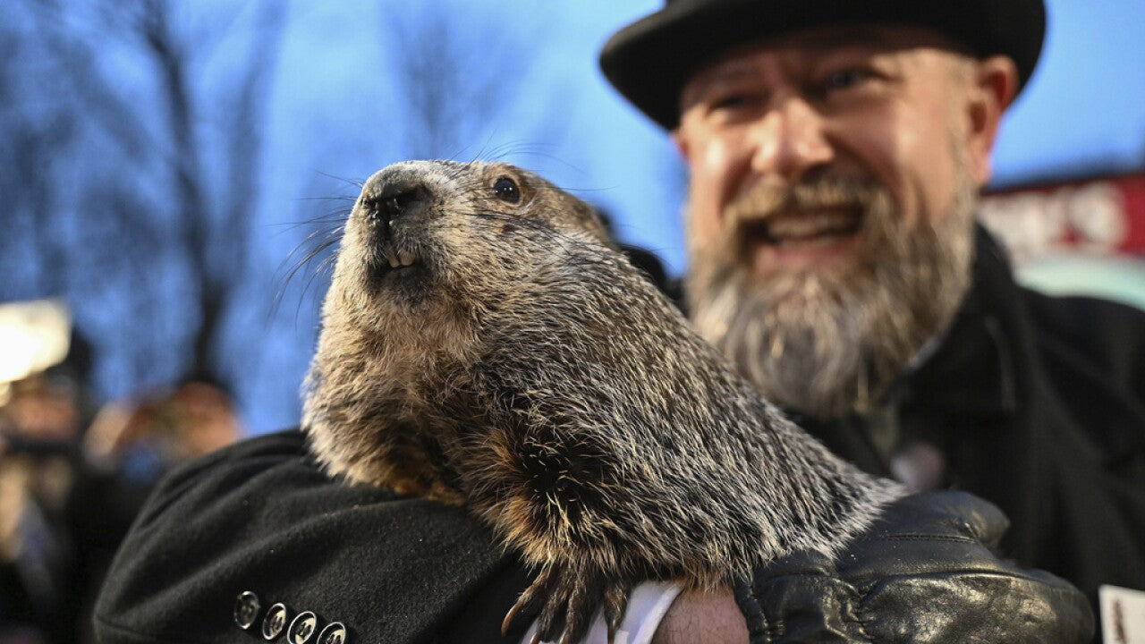 Groundhog Stuff | Official Souvenirs from Punxsutawney Phil